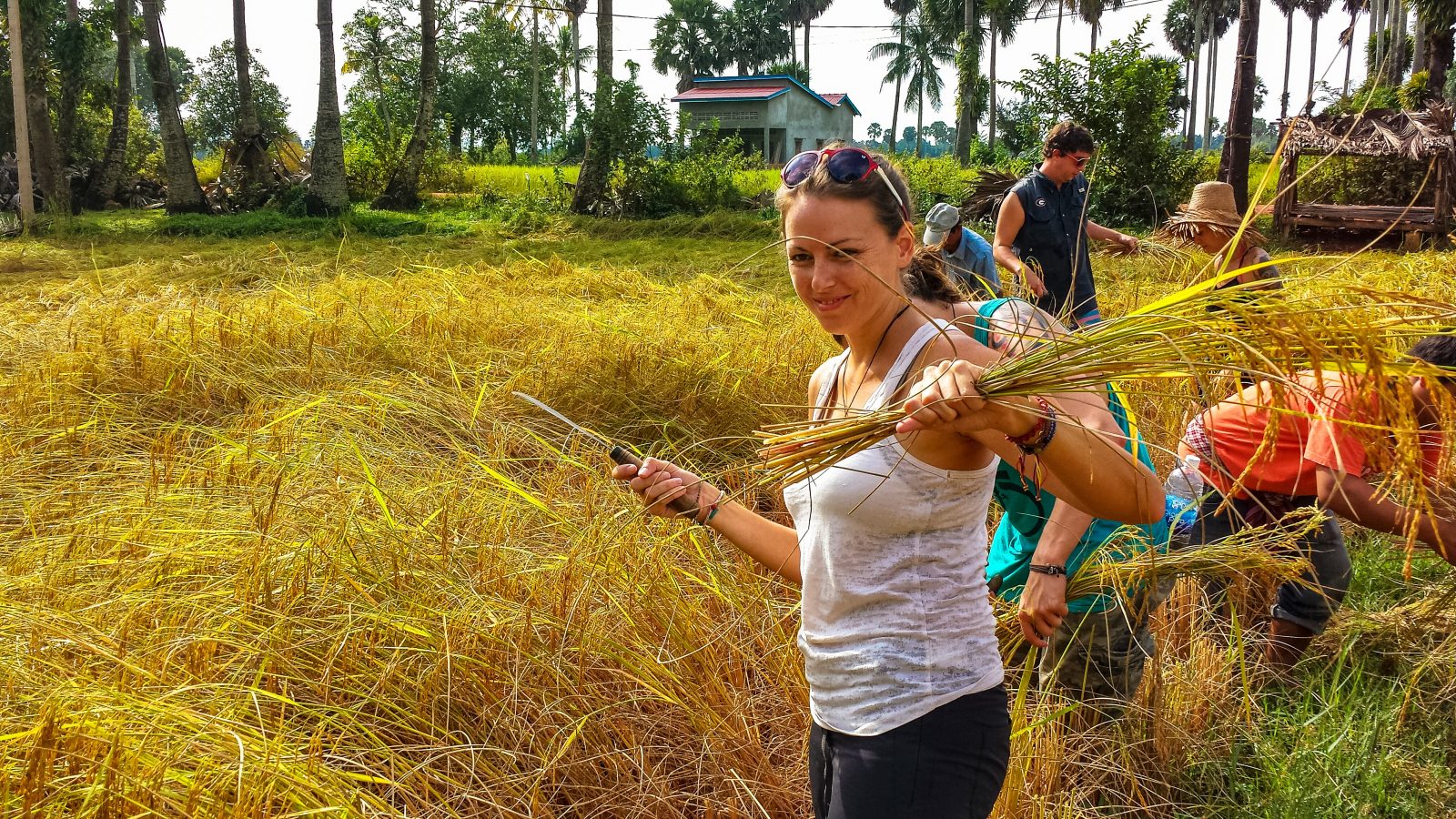 A Day in the Life of a Cambodian Rice Farmer - Just a Pack