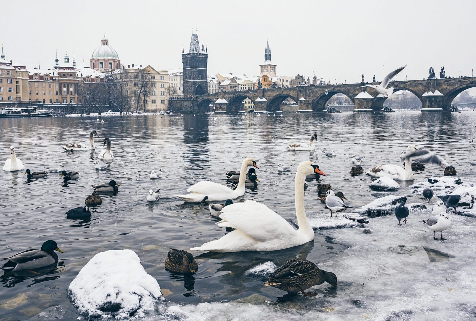 21 Photos That Will Make You Want to Move to Prague - Just a Pack