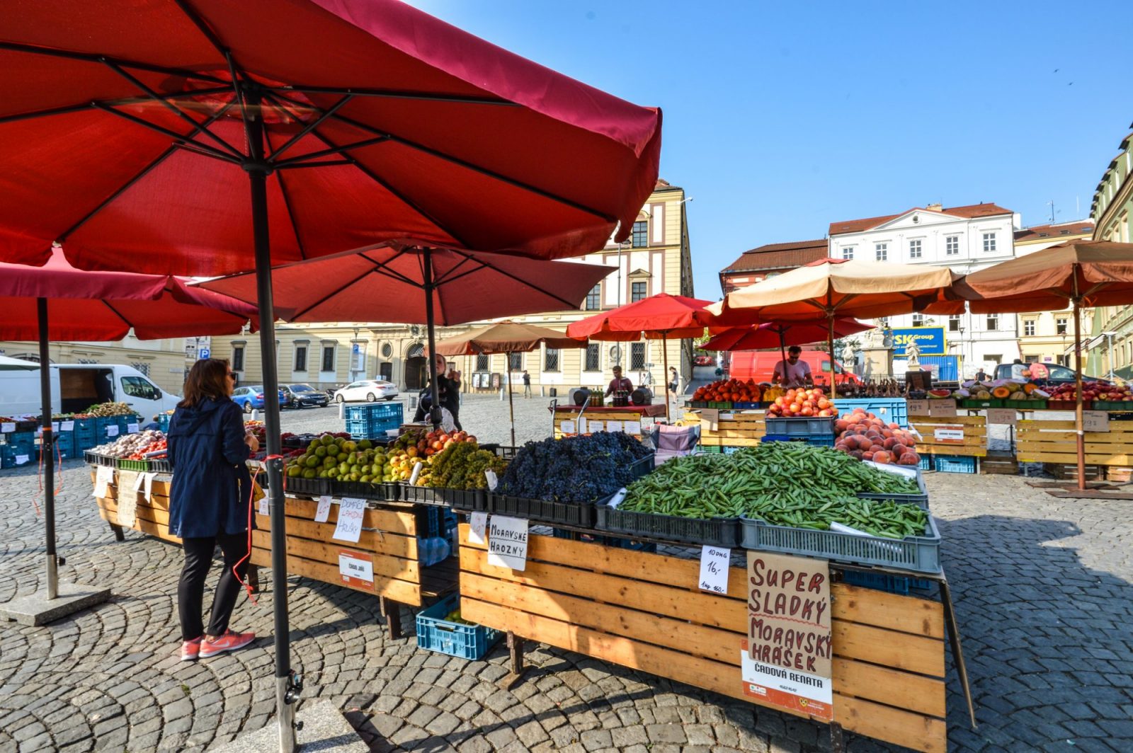 32 Things to Do in Brno Czech Republic - Just a Pack
