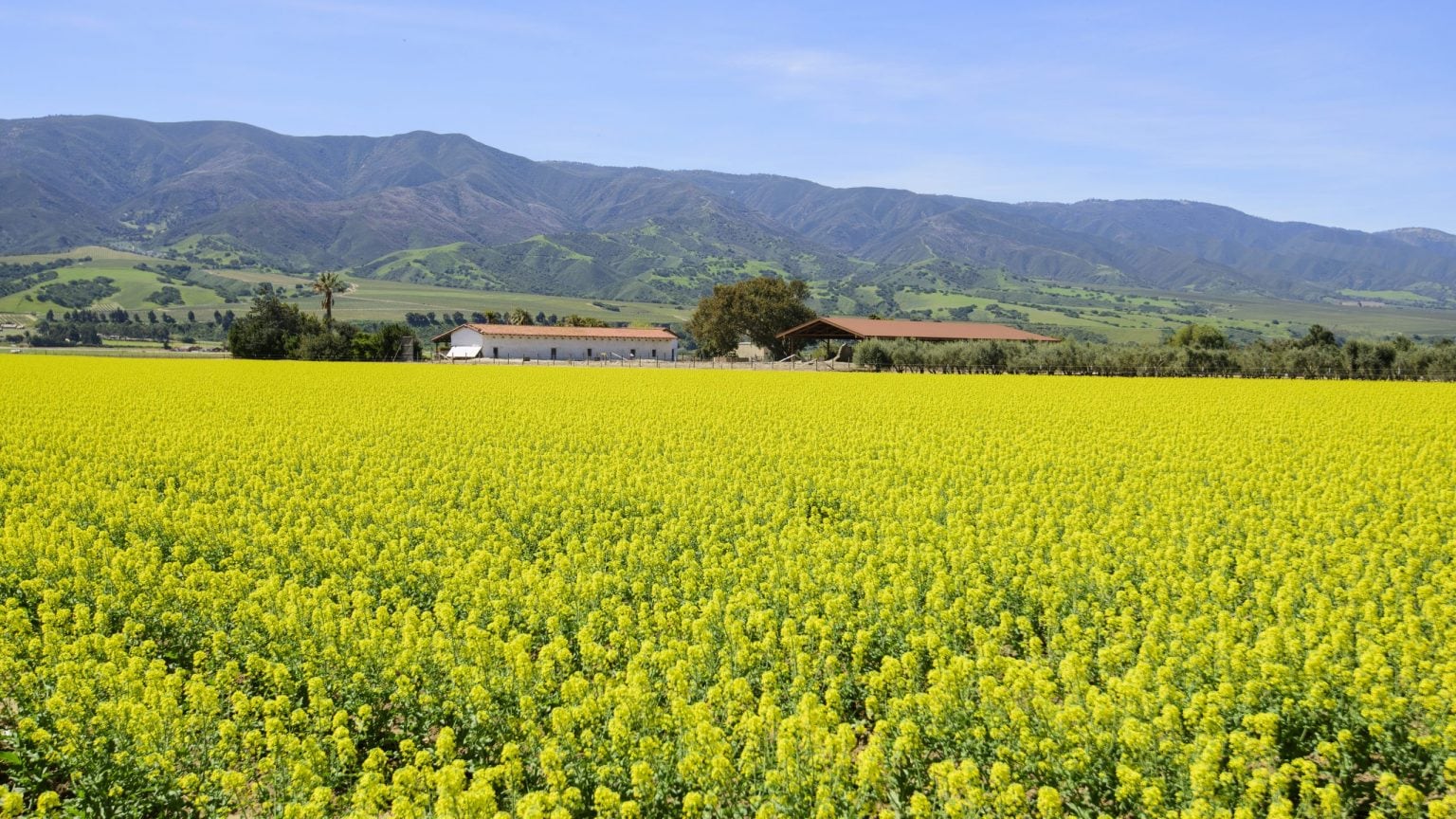 19 Marvelous Things to Do in Monterey California - Just a Pack