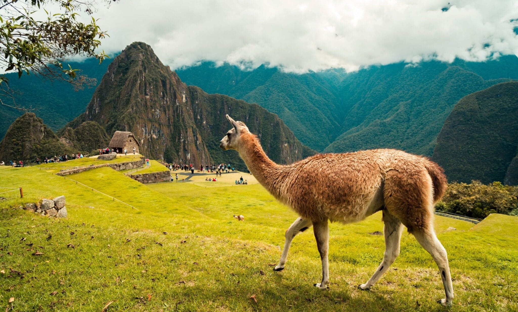 The Perfect 3 Week Peru Itinerary - Planning a Peru Trip - Just a Pack